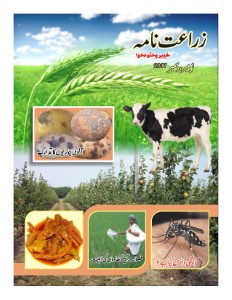 Agriculture Extension