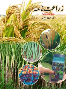 Agriculture Extension