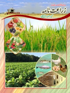 Agriculture Extension