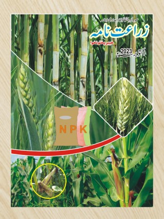 Agriculture Extension